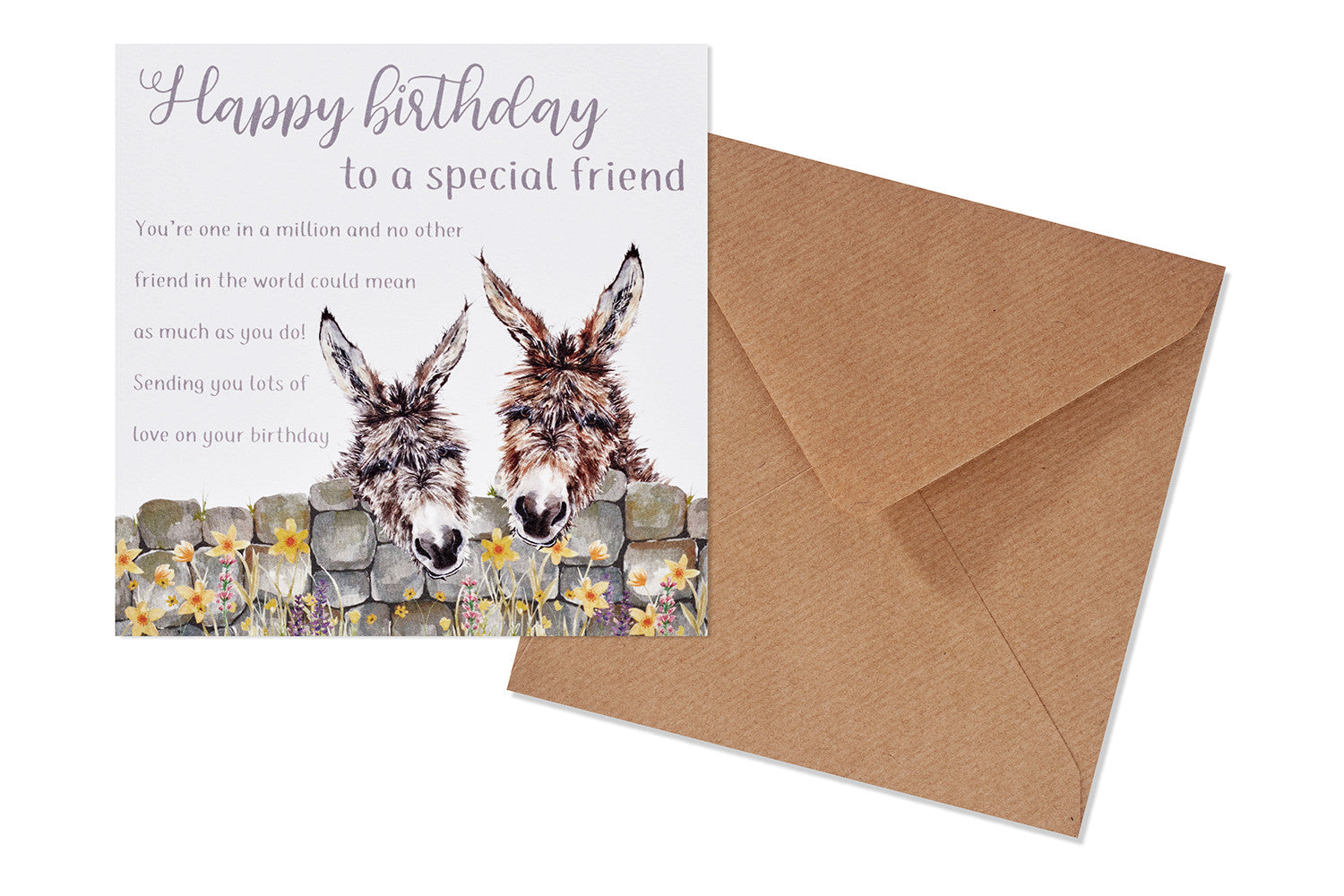 Donkey Card | Shop Now | Foy And Company | Birthday Cards - Foy and Company