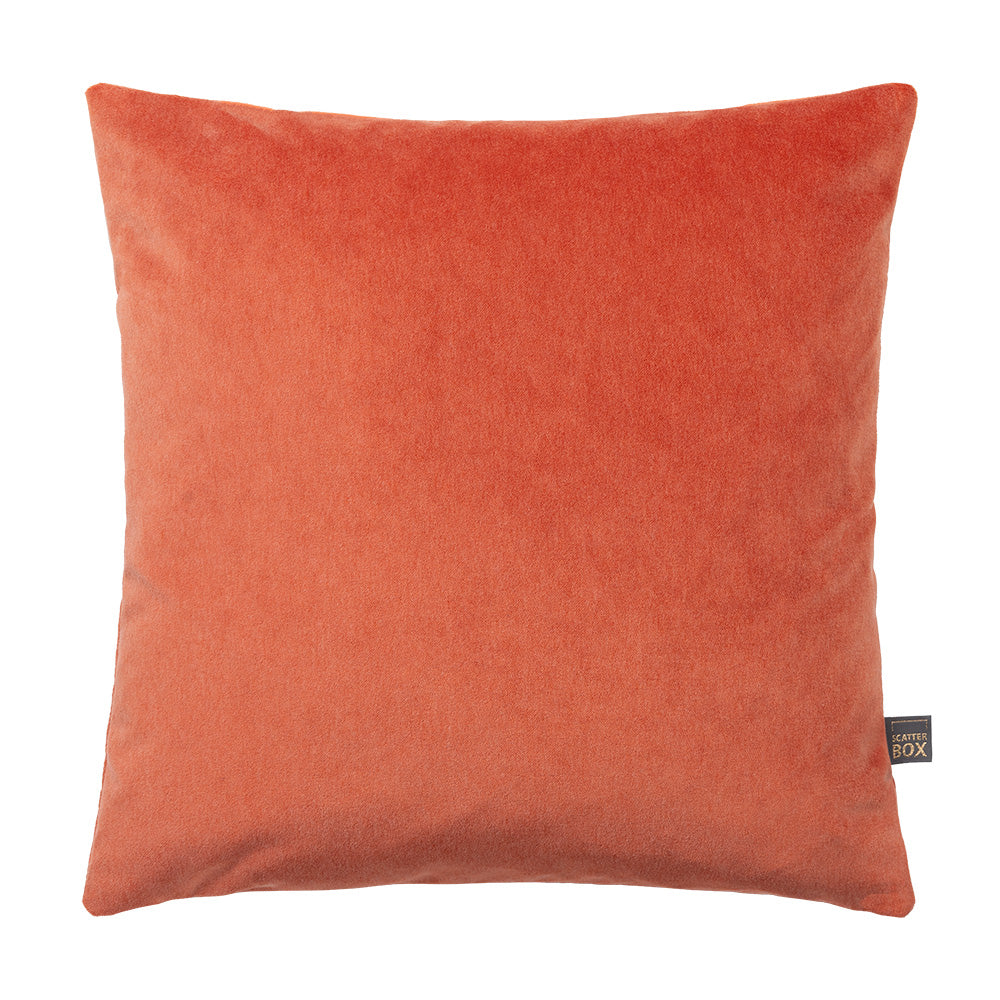 Scatterbox Cushion Richelle 58x58cm Coral | Scatterbox Cushions - Foy ...