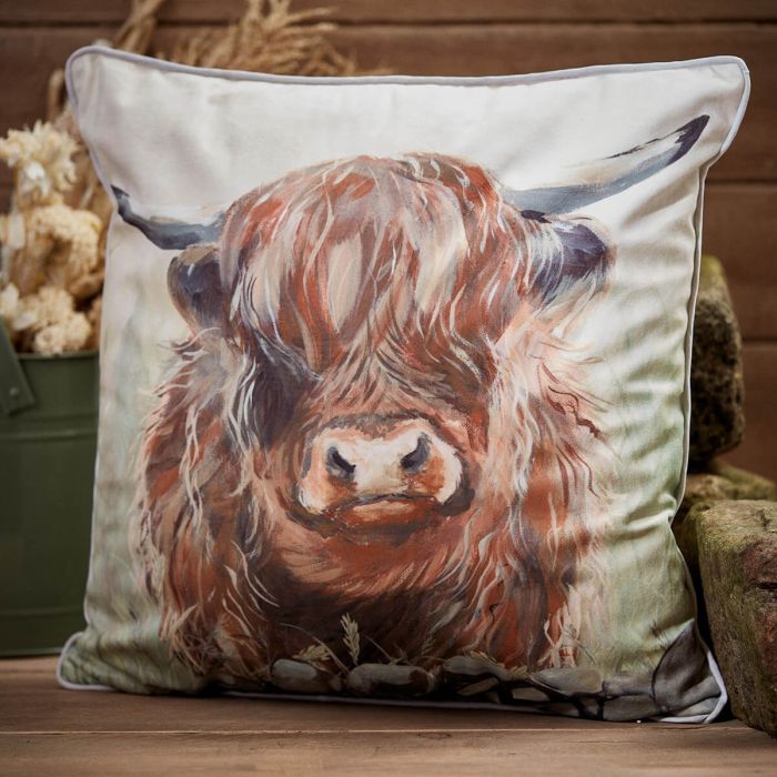 Dougal Highland Cow Cushion | Cushions and Cushion Covers - Foy and Company