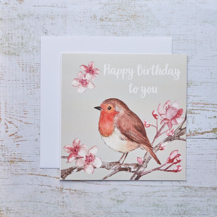 Robin Birthday Card | General Accessories | Gifts Ideas - Default Title ...