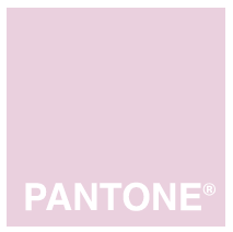 Fleetwood Prestige Pantone Cradle Pink 122905 NEW - Eggshell / 1L - Foy ...