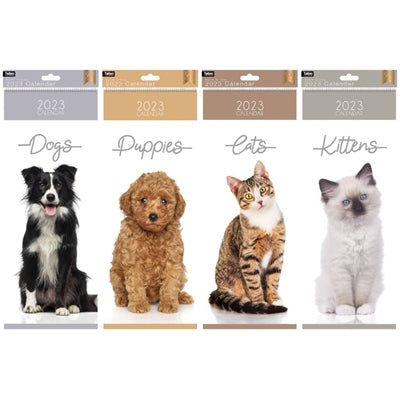 Calendar Super Slim Dogs Cats Kittens Puppies - Foy and Company